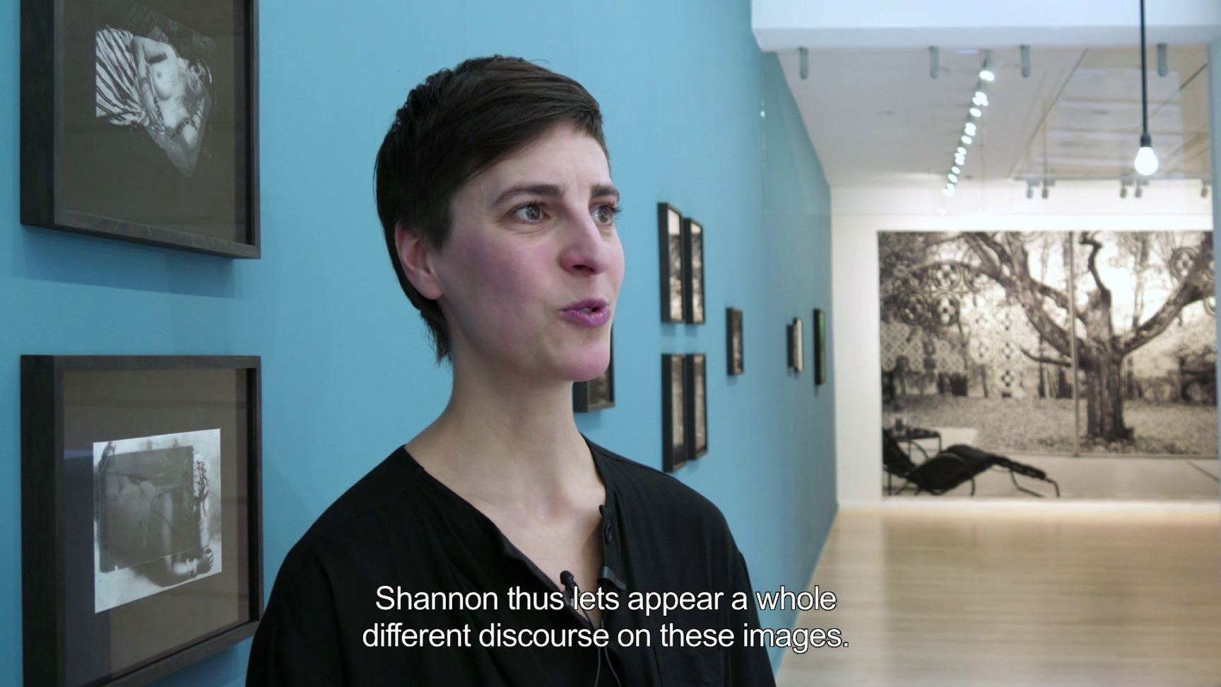 Shannon Bool – Centre Culturel Canadien – Paris